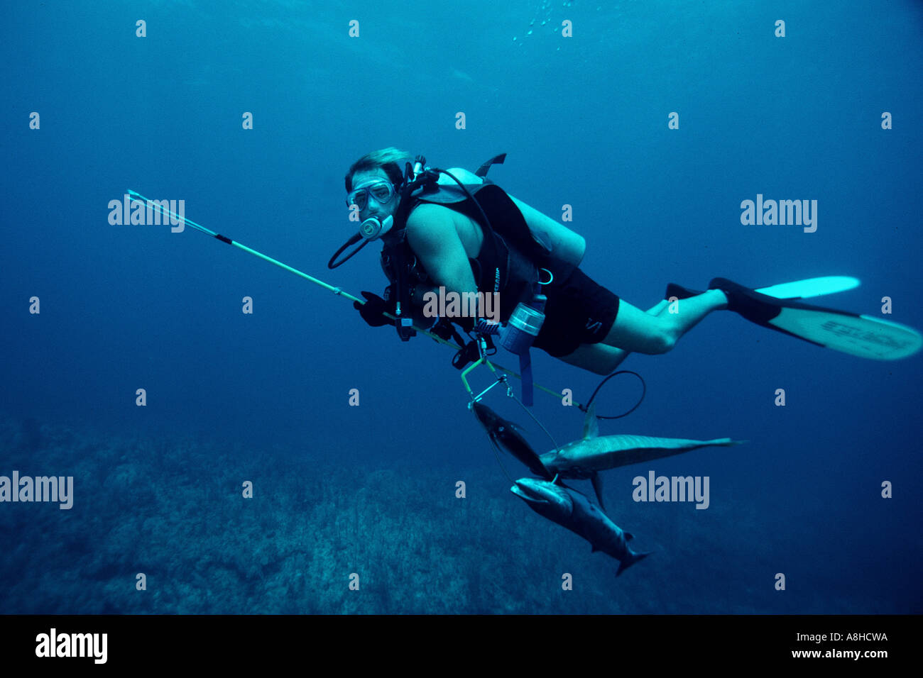 The divers hi-res stock photography and images - Alamy