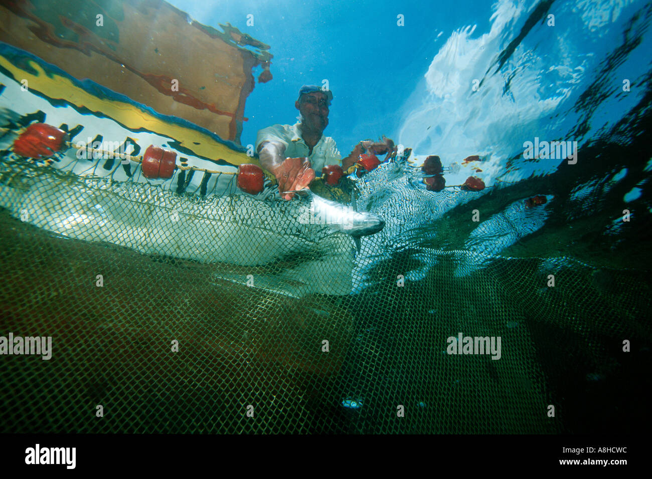 Local fishermen use seine nets to catch mackerel and snapper Venezueal ...