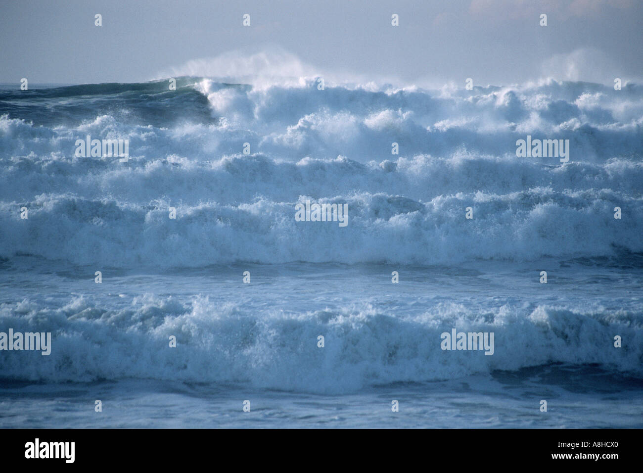 Warming of surface waters in the southeastern Pacific creates the ...