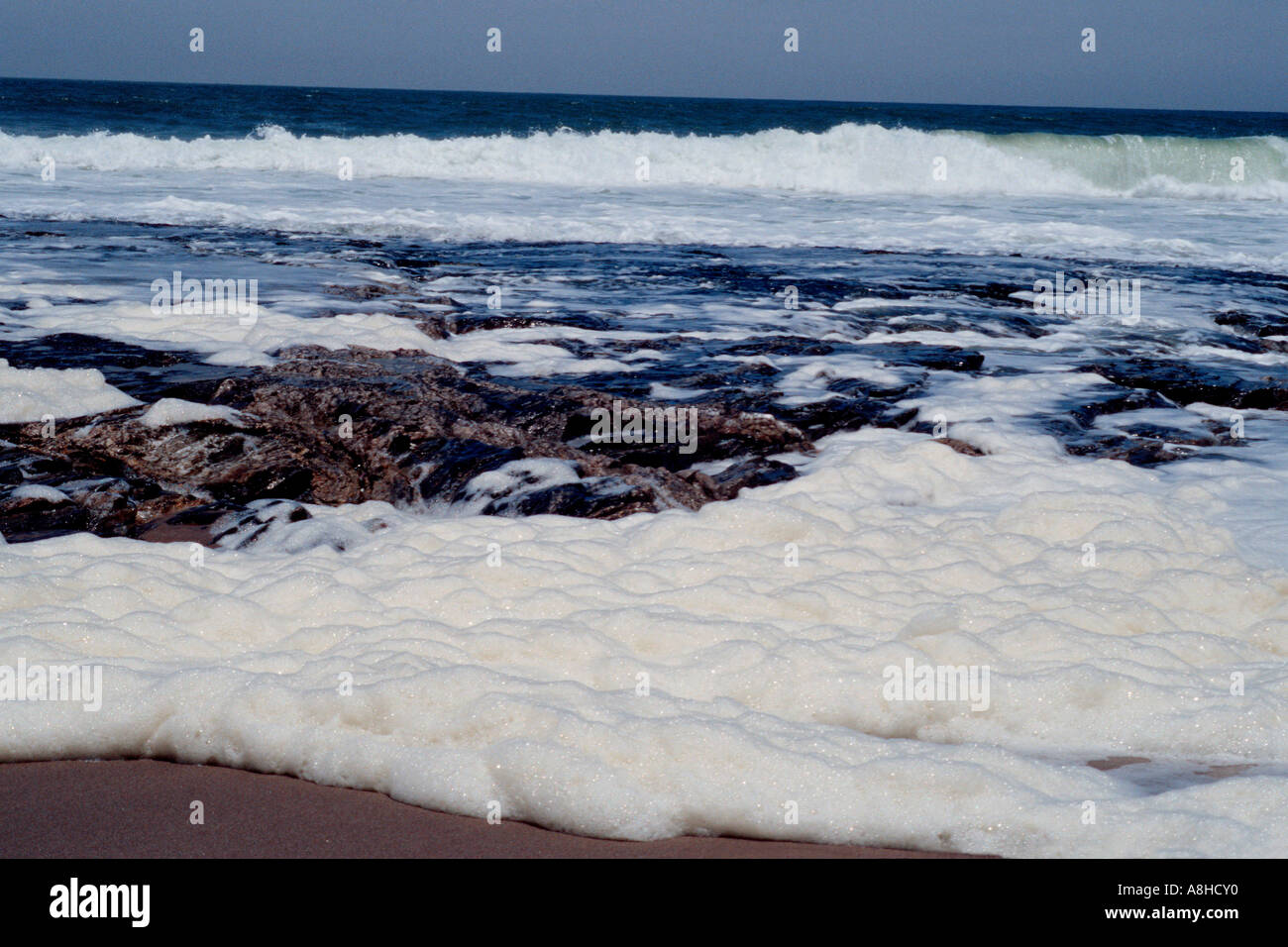 Pollution of our coastlines is a major stress to our environment ...