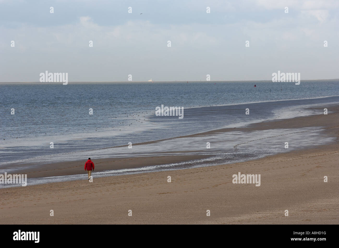 Loney walkers on the beach Stock Photo - Alamy