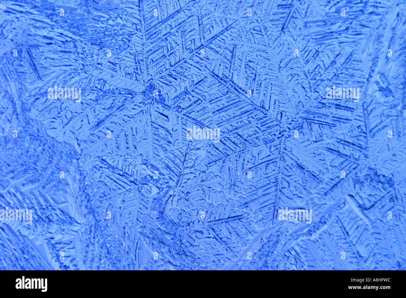 Iceflowers hi-res stock photography and images - Alamy