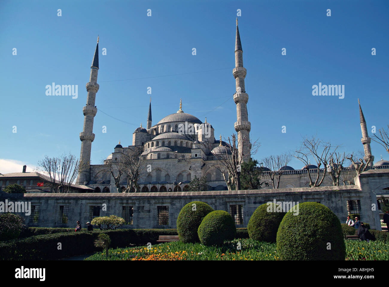 Sultanahmet The Blue Mosque set in lush gardens Istanbul Turkey Stock ...