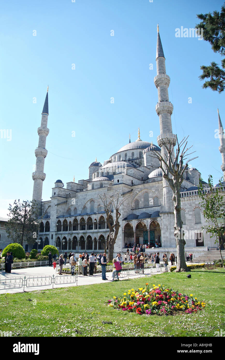 Sultanahmet The Blue Mosque set in lush gardens Istanbul Turkey Stock ...