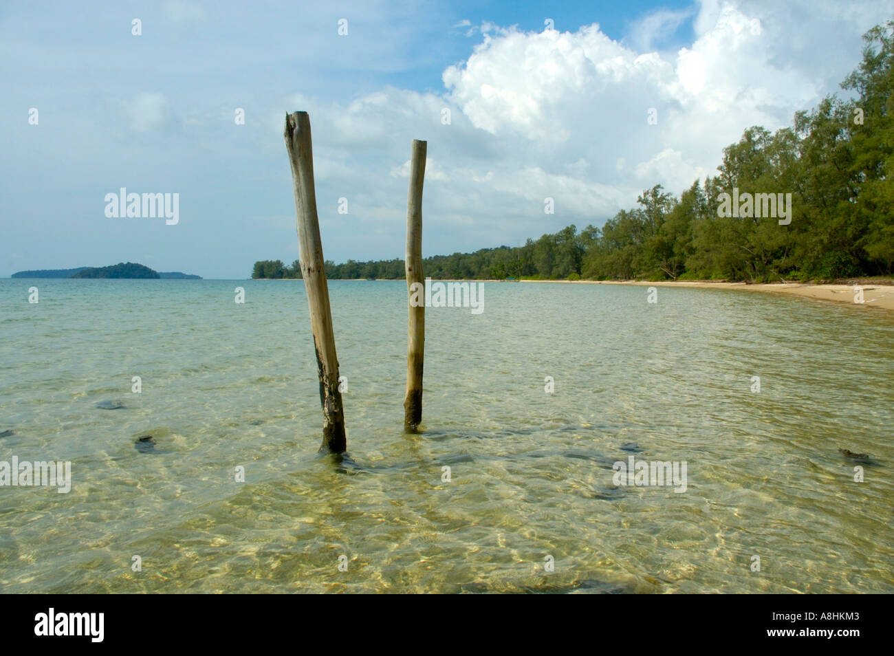 Wooden poles in shallow water at a beach of a lonesome island near ...