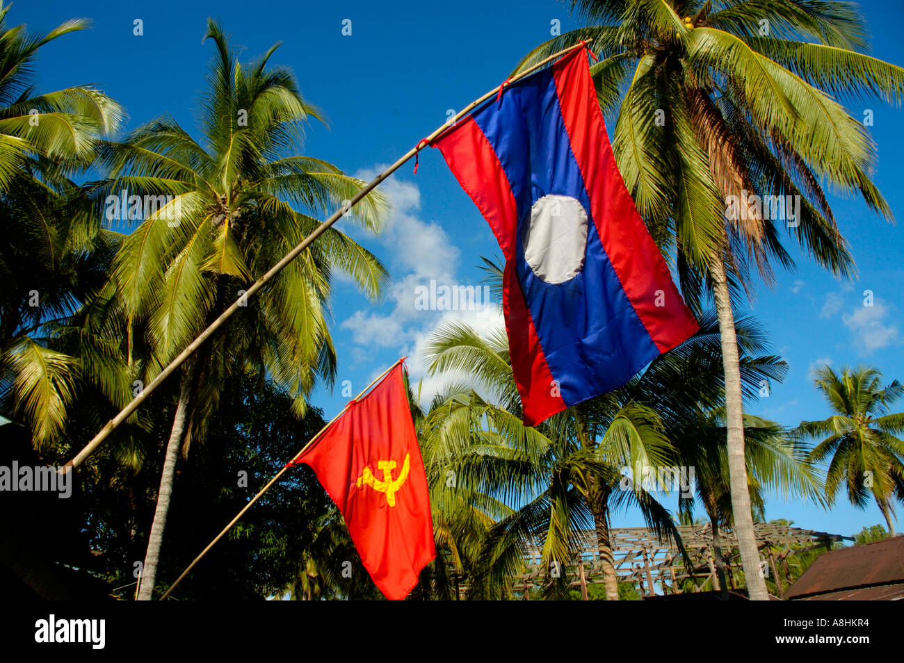 Lao and communist sovjet flag with coconut palms Ban Khon Don Khon Si ...