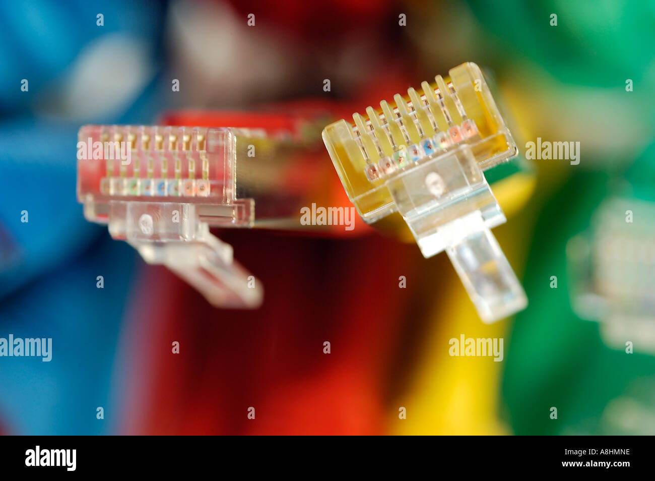 Two plugs of a coloured network cables for computer Stock Photo - Alamy