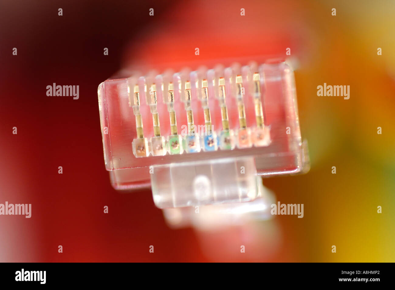 Plug of a coloured network cables for computer Stock Photo - Alamy