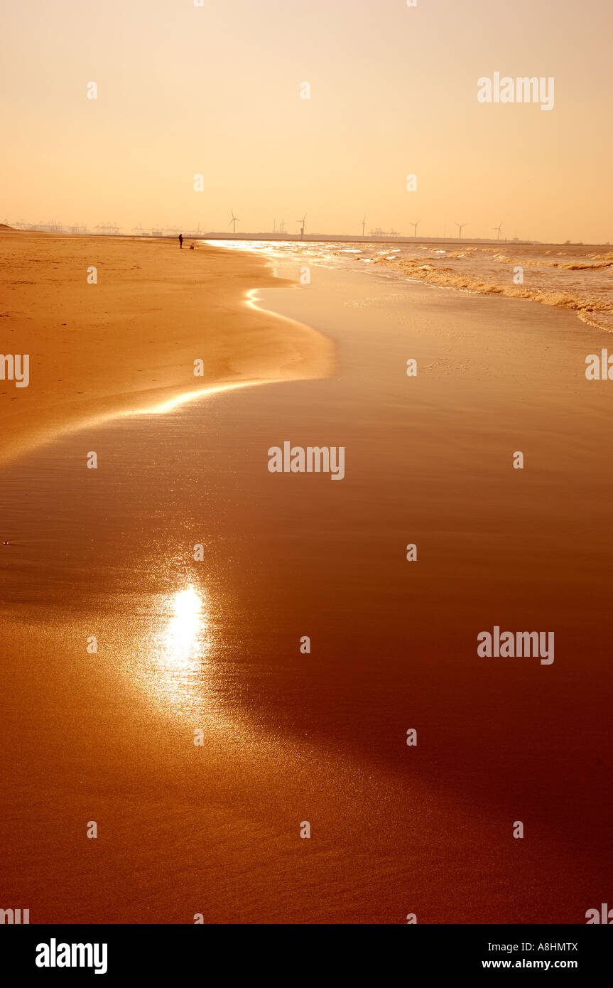 Silhouettes people on the end of the day with backlighting Standing ...