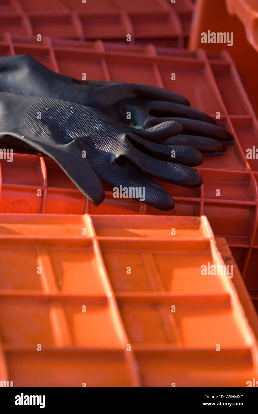 Crates and gloves used in wine making and collecting grapes Stock Photo ...