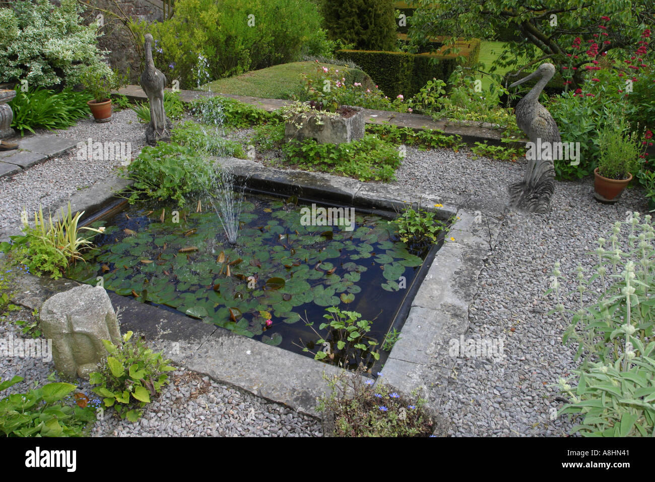 Classic ornate garden pond with water plants Stock Photo - Alamy