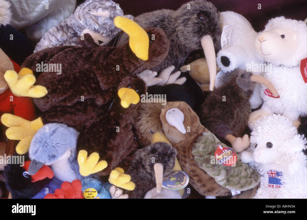 abstract of iconic kiwi souvenirs outside a shop Christchurch New ...