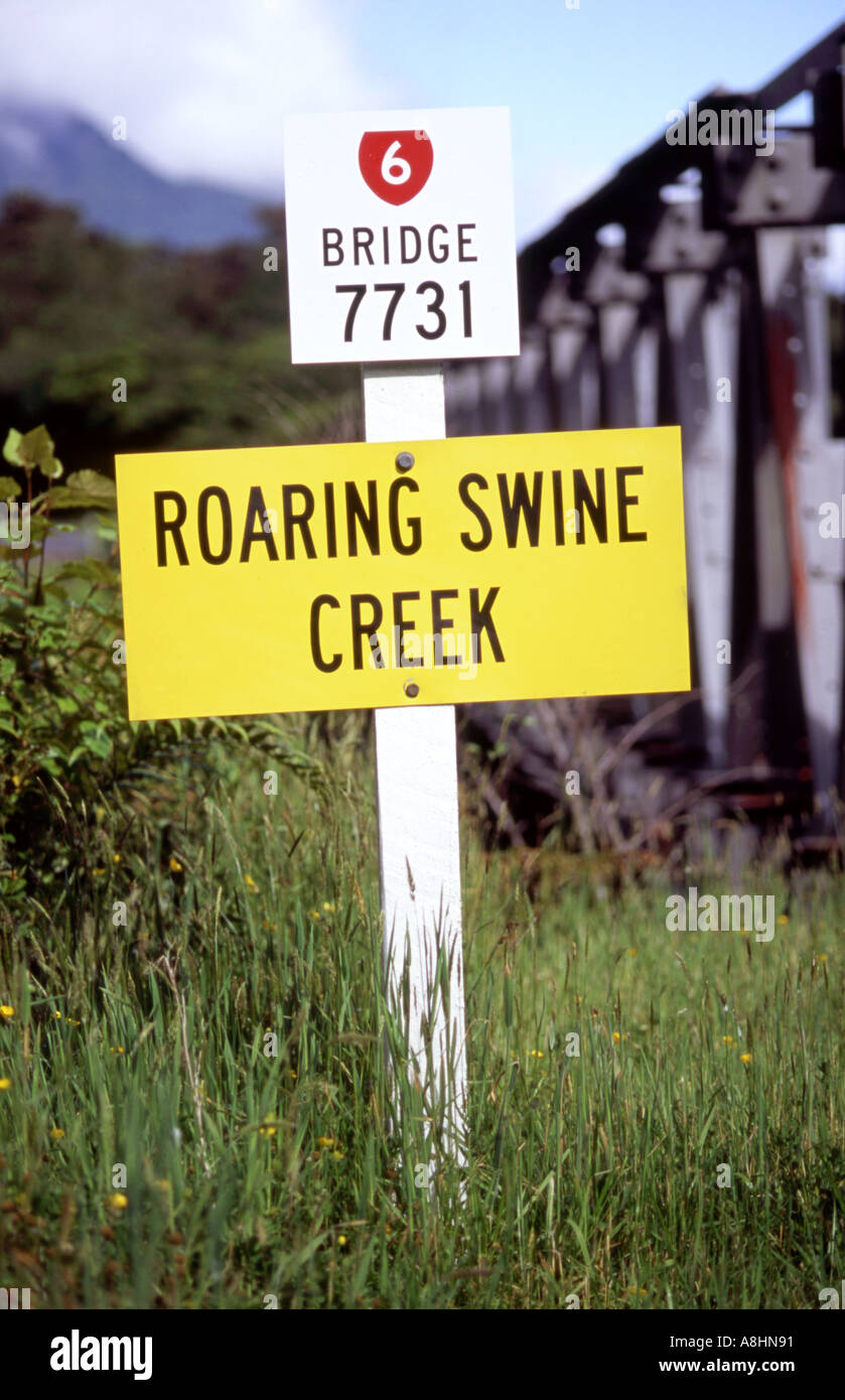 Campervan driving new zealand hi-res stock photography and images - Alamy