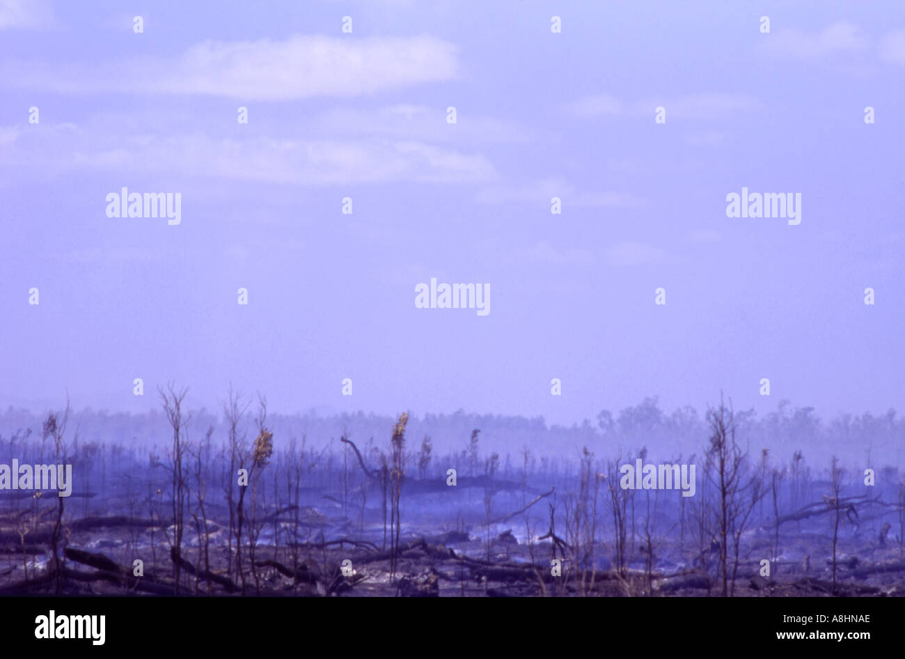 Australian outback landscape after a burn off bushfire Queensland Stock ...