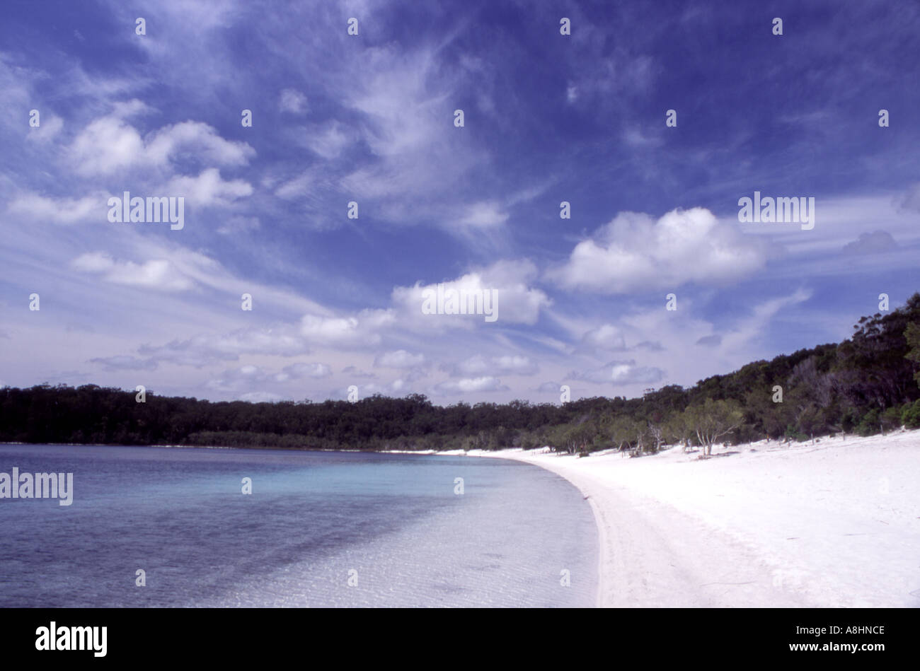 The crystal clear waters of the perched Lake MacKenzie Fraser Island ...