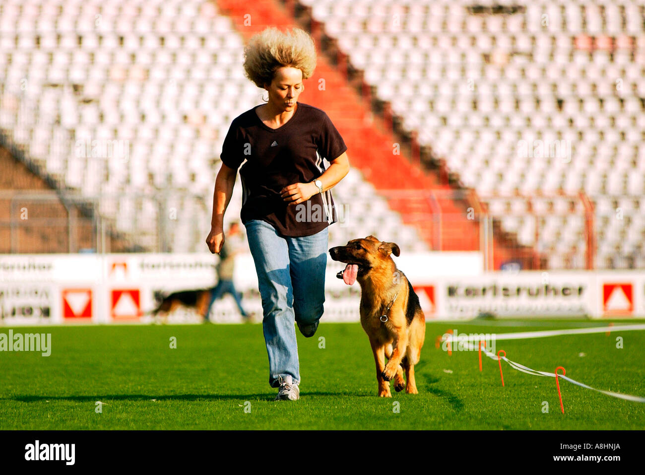 Shephard with animals hi-res stock photography and images - Alamy