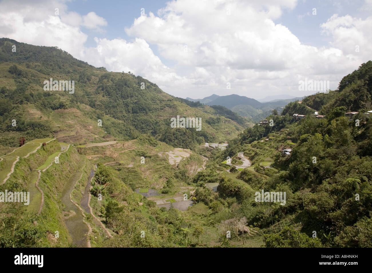 Rice Terraces, Banaue, Northern Luzon, Philippines Stock Photo - Alamy