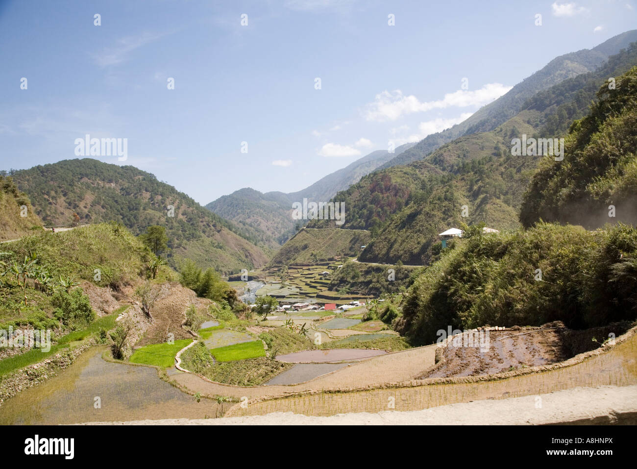 Rice Paddy, Mountain Provence Stock Photo - Alamy