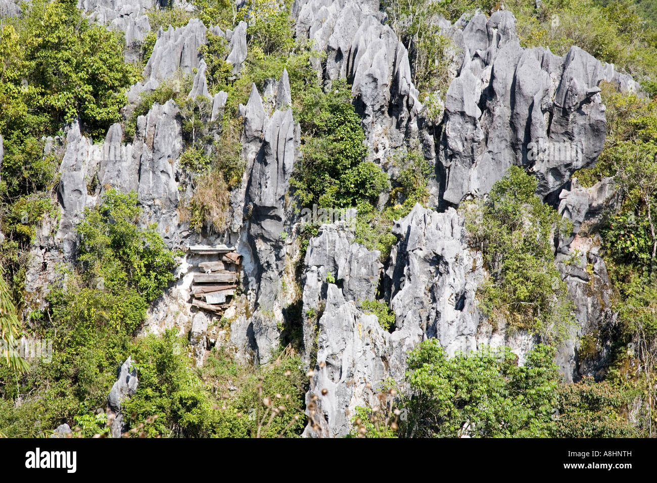 Hanging Coffins, Sagada, Northern Luzon, Philippines Stock Photo - Alamy