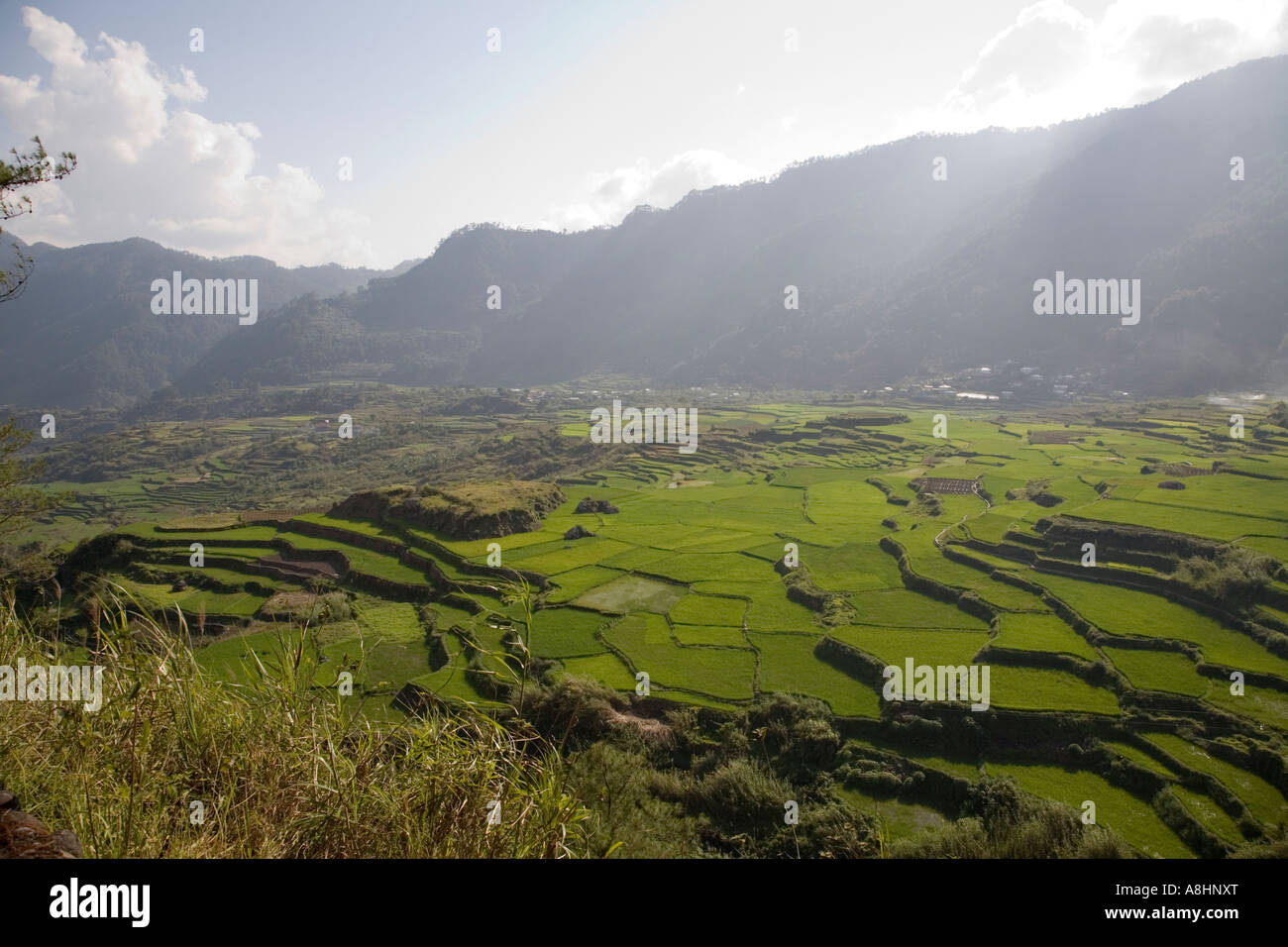 Rice Paddy, Sagada, Northern Luzon, Philippines Stock Photo - Alamy