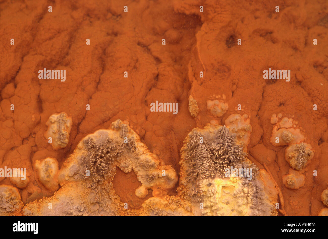 Abstract detail Champagne Pool flooded volcanic vent Wai o tapu ...