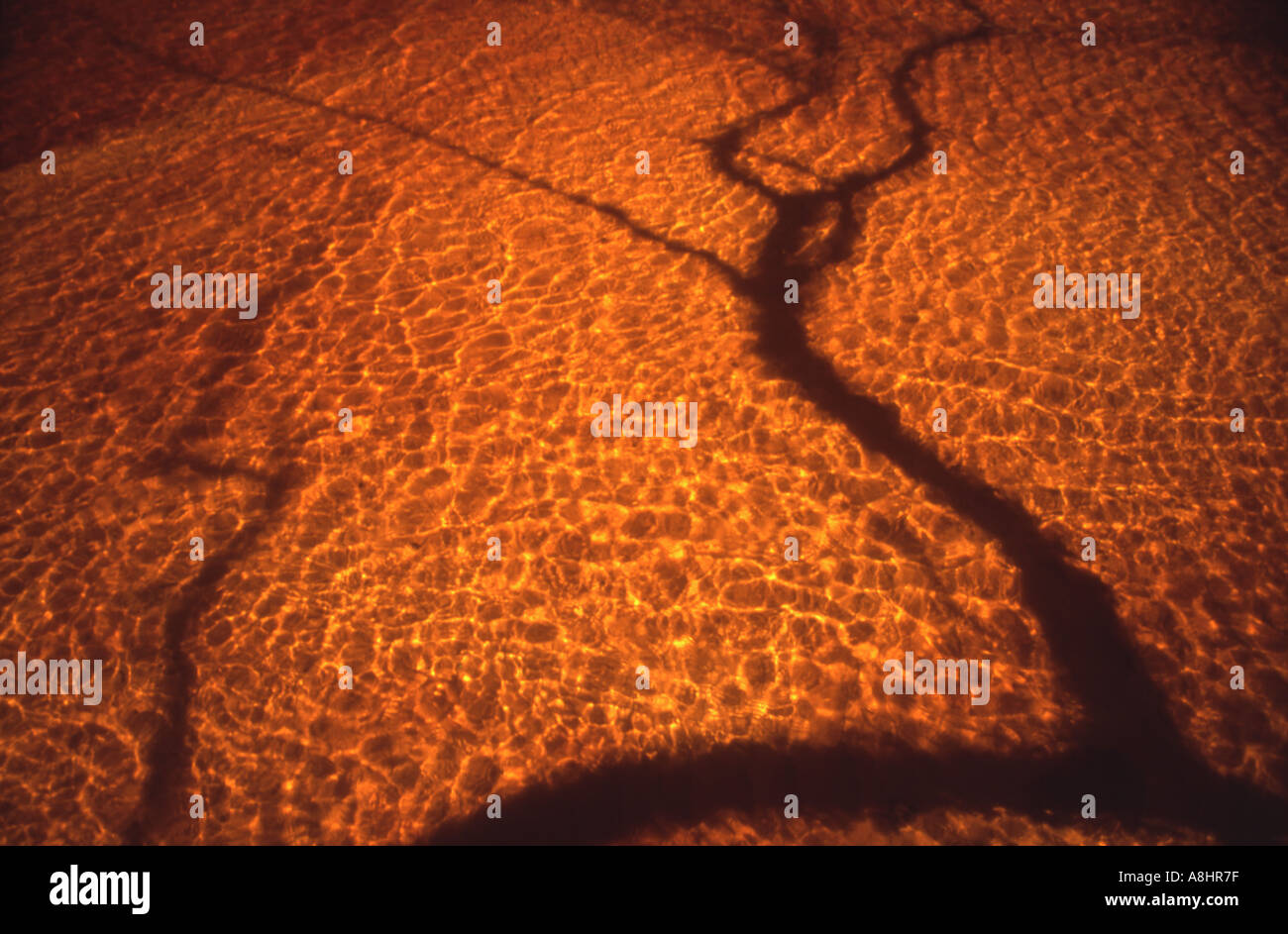 Abstract detail river of clear tannin stained water flowing over sand ...