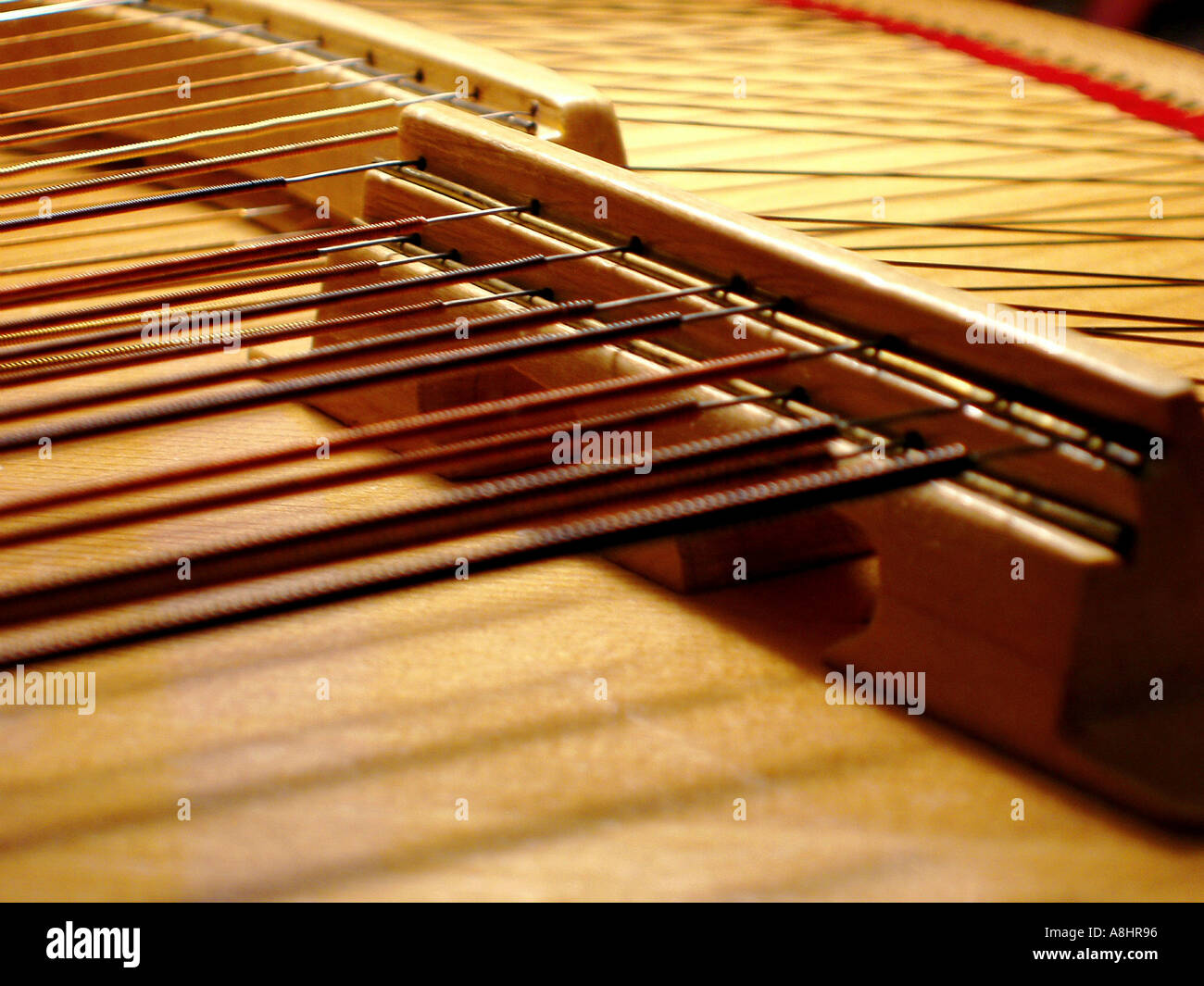 Kozak art music Ukrainian bandura kobza kobsa torban Stock Photo - Alamy
