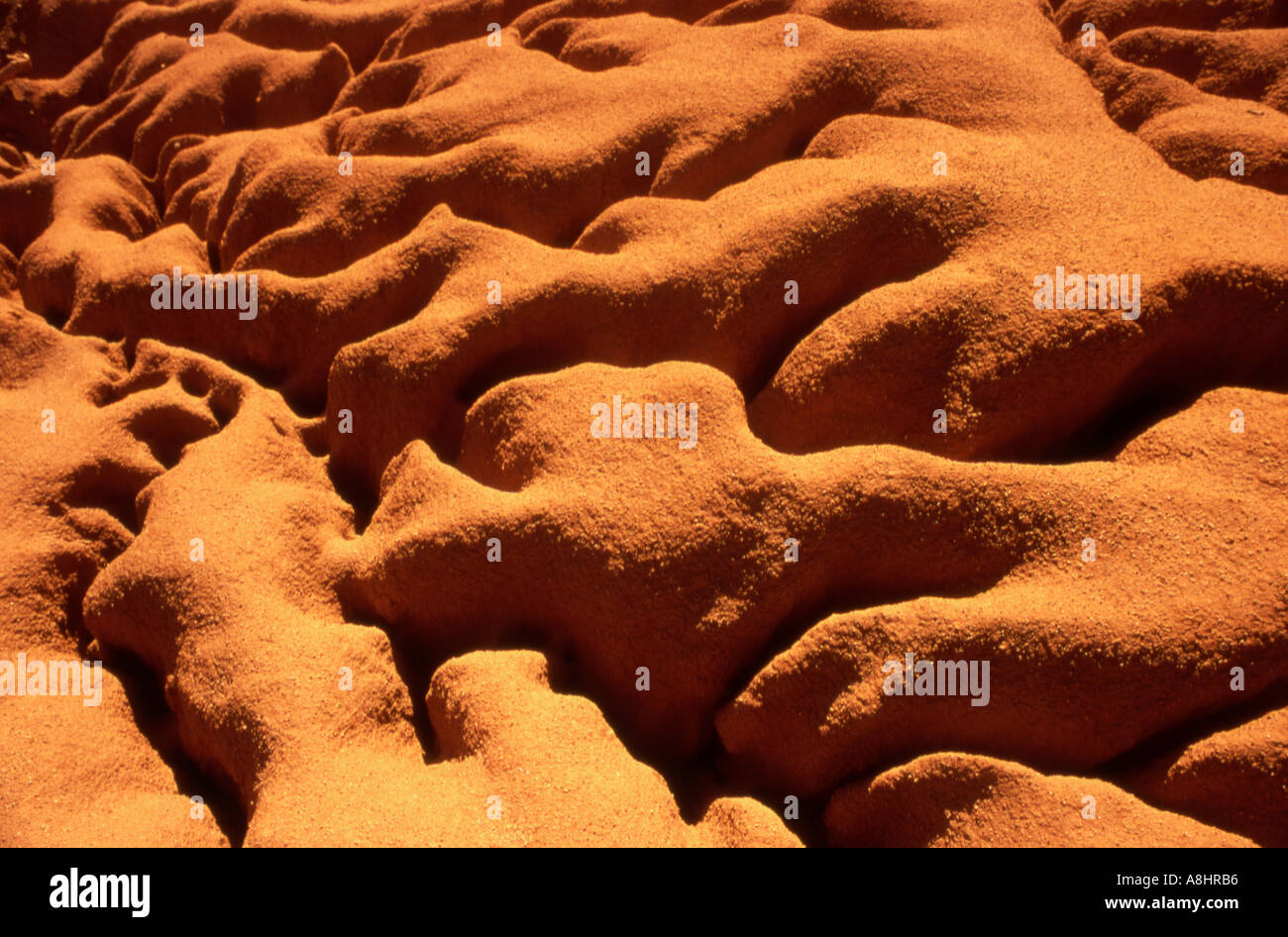 Abstract detail Channels cut in to the red outback soil beside a dry ...