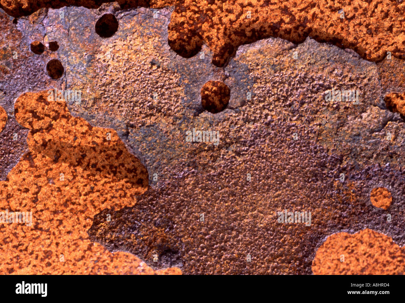 Abstract detail patterns on a sheet of rusting iron Stock Photo - Alamy