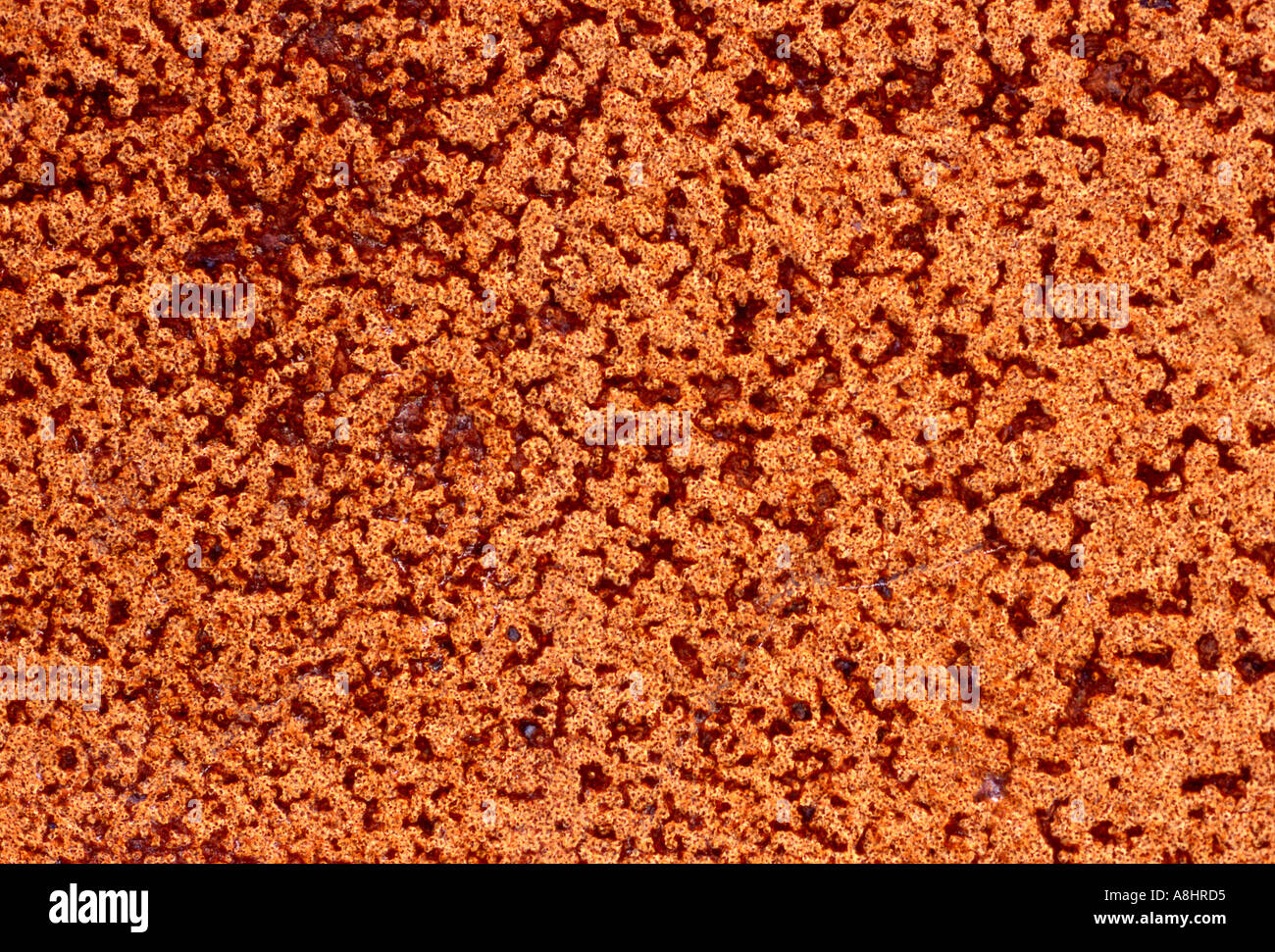 Abstract detail sheet of rusting iron Stock Photo - Alamy