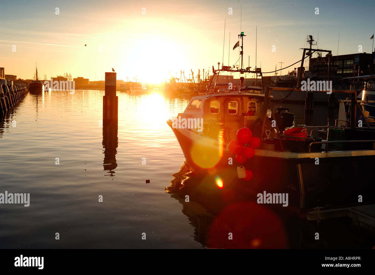 Old fishing harbour Scheveningen at the coast of Holland with sunset ...