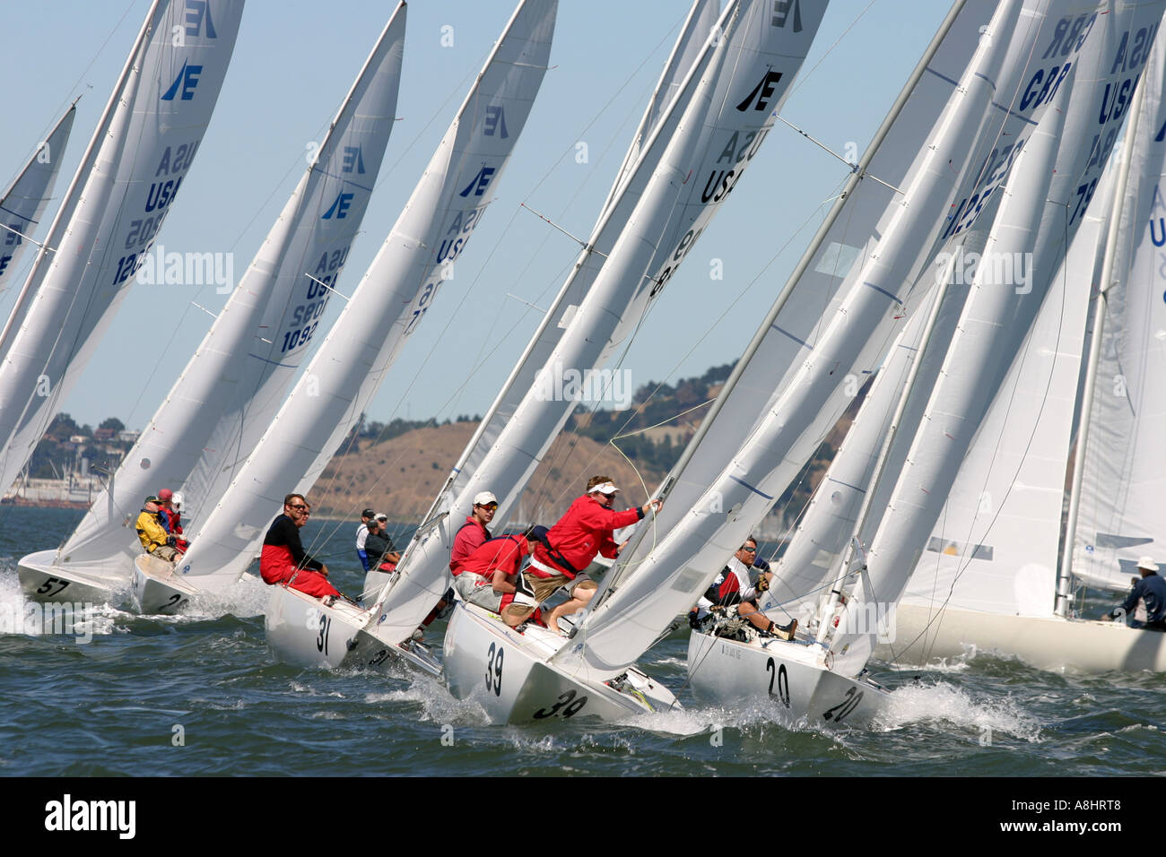 Etchell North Americans 2004 Richmond Ca Stock Photo - Alamy