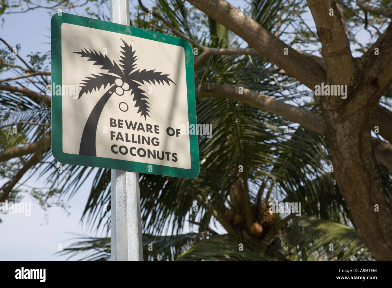 Beware Of Falling Coconuts Sign, Singapore Stock Photo - Alamy