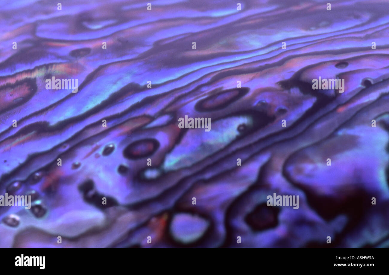 Paua shell frame hi-res stock photography and images - Alamy