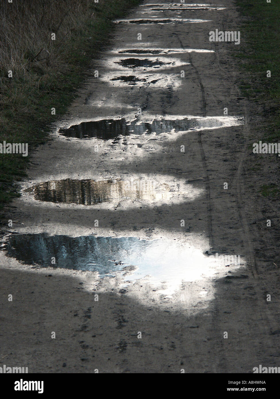 Rain puddles hi-res stock photography and images - Alamy