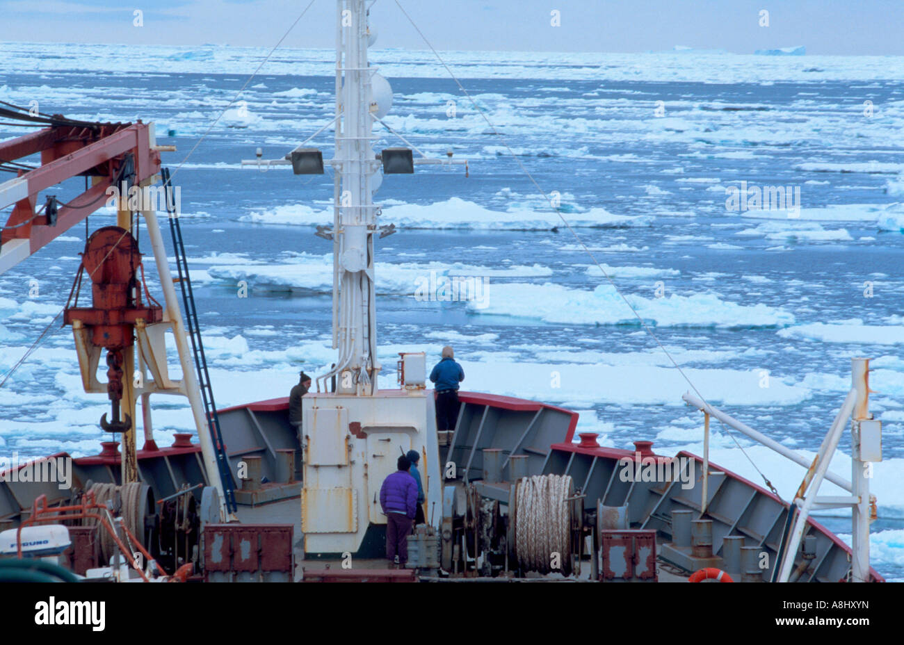 Ice breaker pushes through pack ice Stock Photo - Alamy