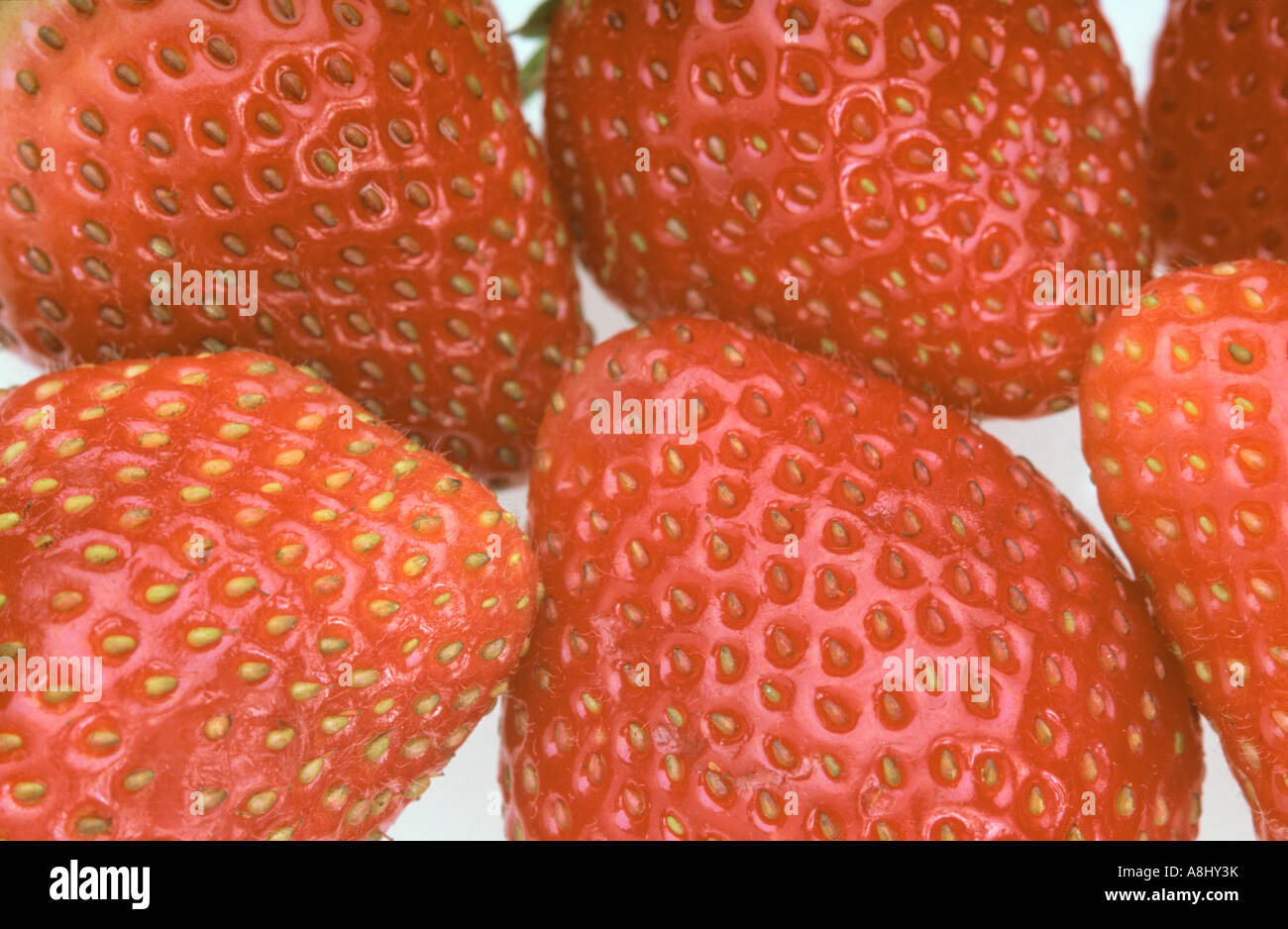 Strawberry fruit close-up Stock Photo - Alamy