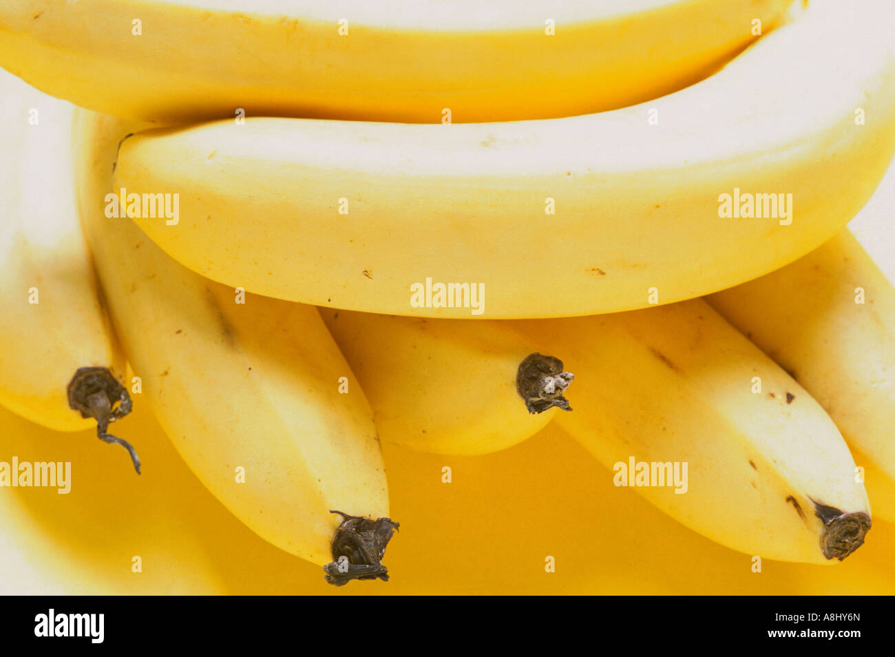 Hand of bananas close-up Stock Photo - Alamy