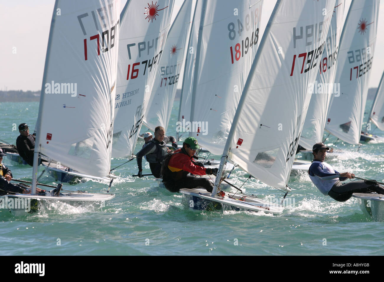 Laser Class Olympic Classes Regatta, miami florida, USA Stock Photo - Alamy