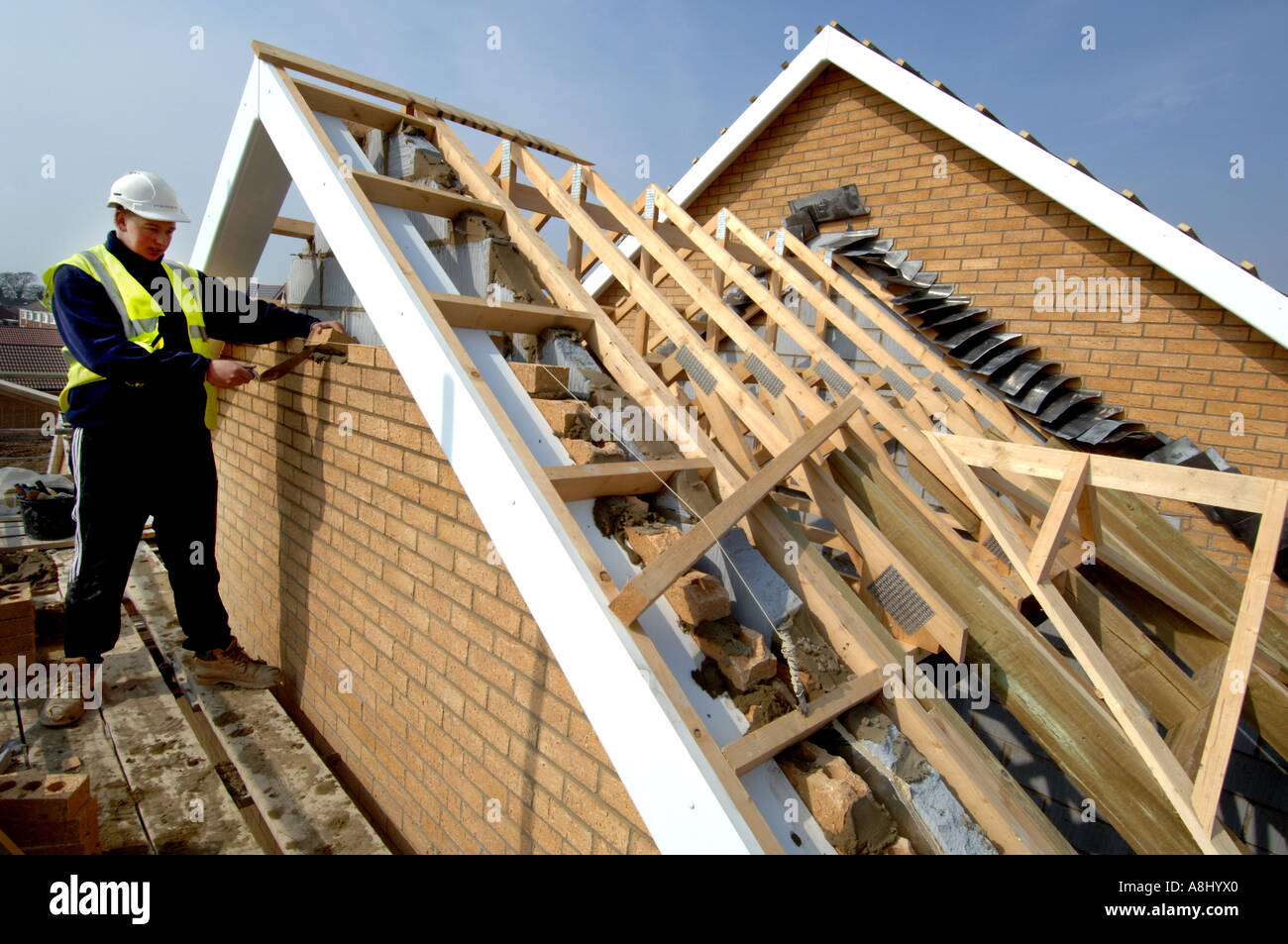 Completes hi-res stock photography and images - Alamy