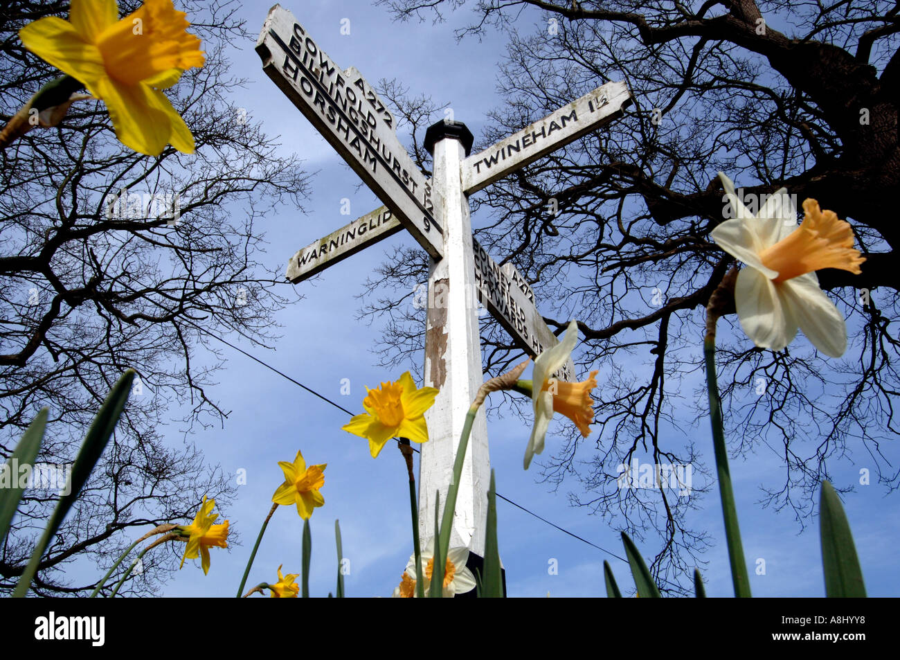 Old horsham hi-res stock photography and images - Alamy