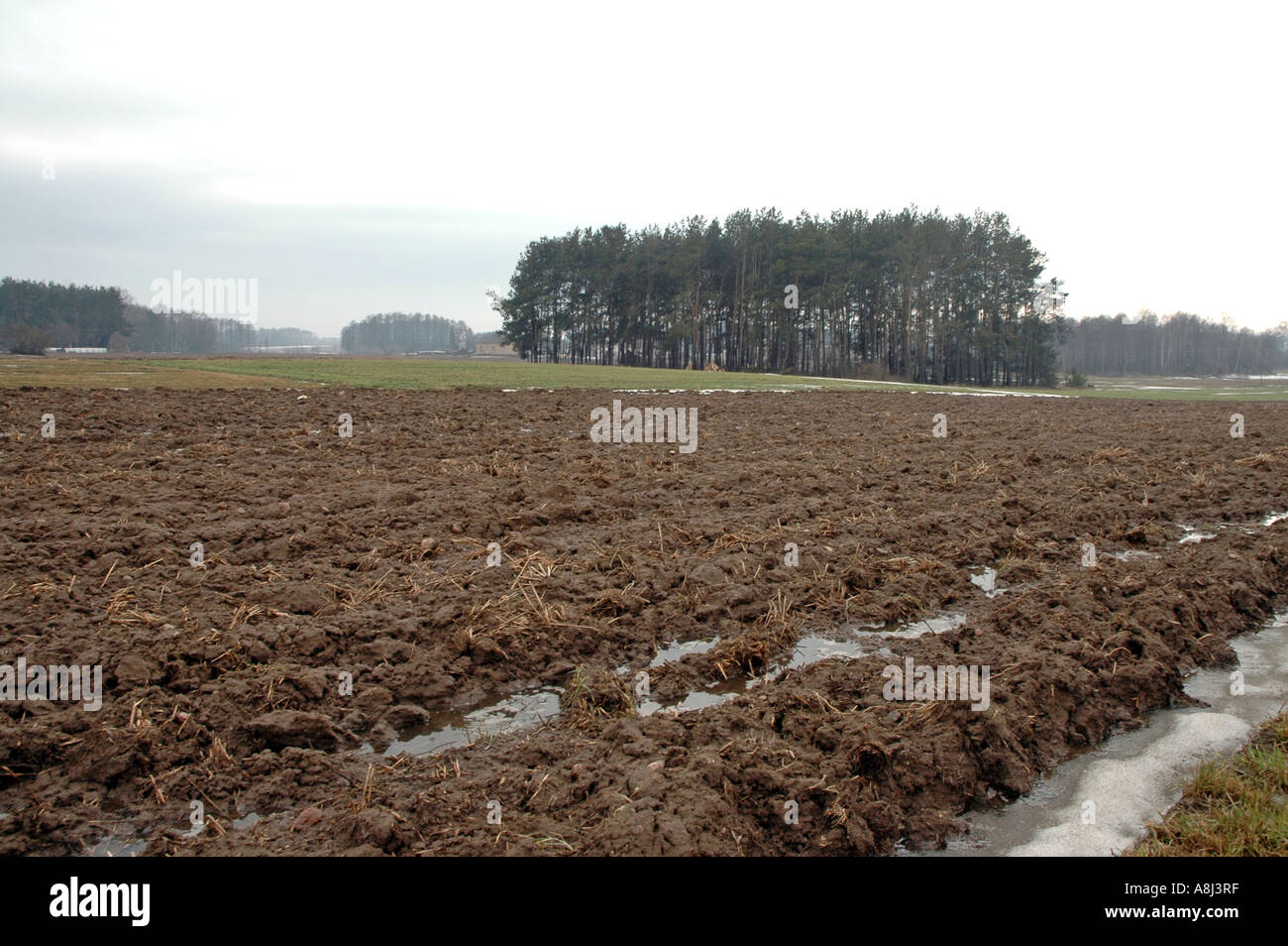 Polish early spring hi-res stock photography and images - Alamy