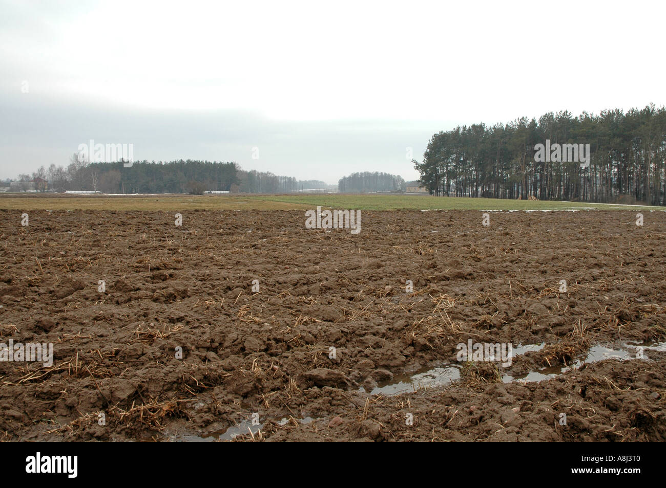 Polish early spring hi-res stock photography and images - Alamy