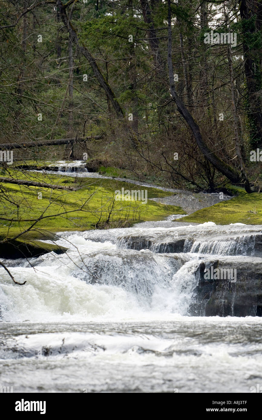 Waterfalls current river scenic nature trees plants wilderness outdoors ...