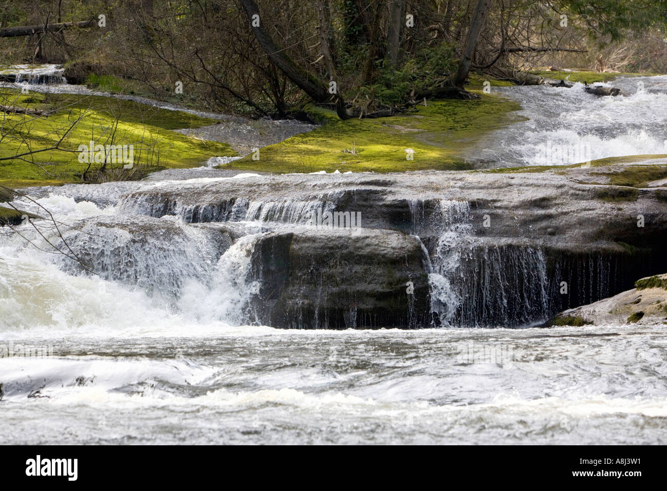 Millstone River waterfalls Bowen Park Nanaimo Vancouver Island British ...