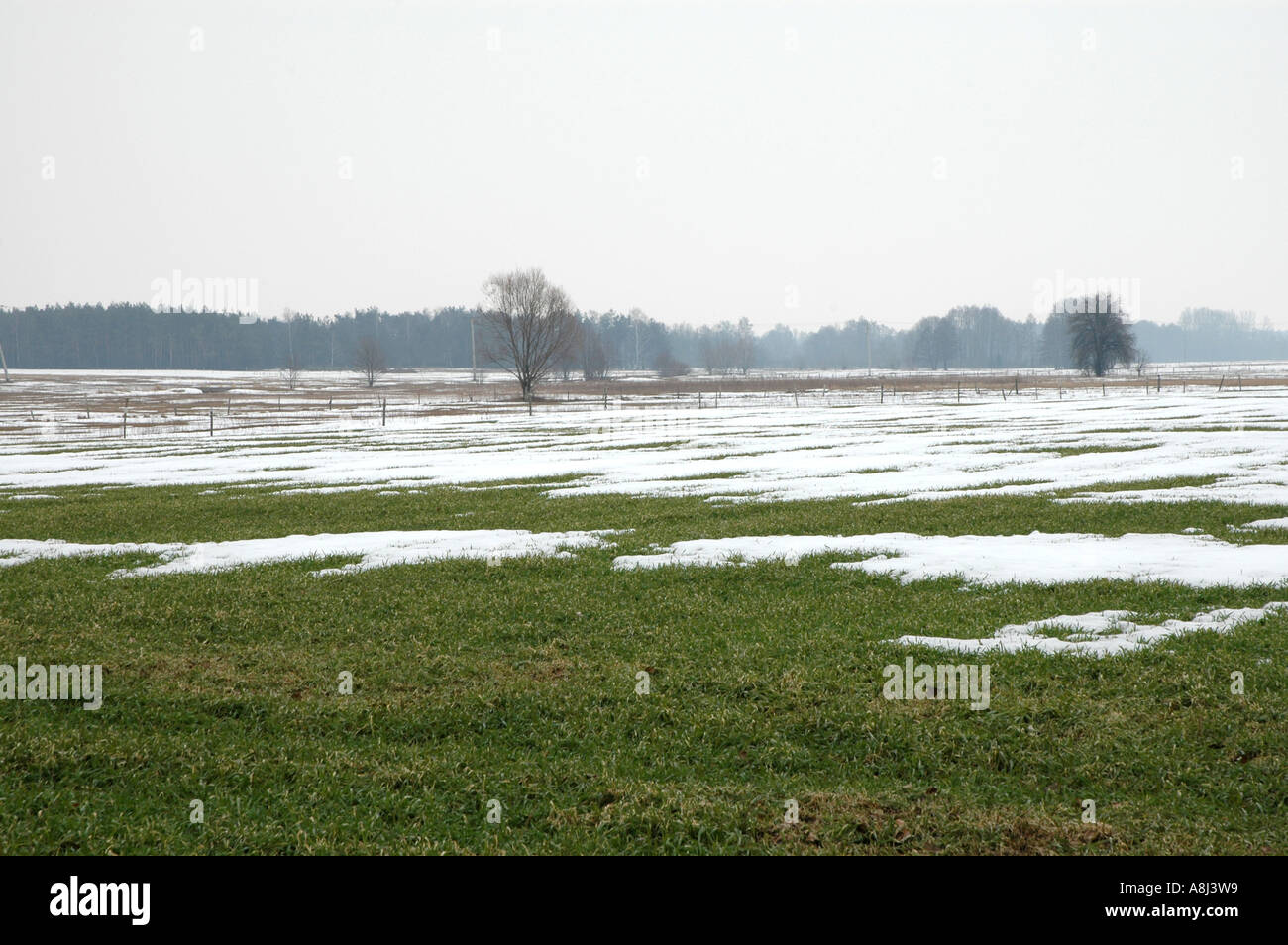 Polish early spring hi-res stock photography and images - Alamy