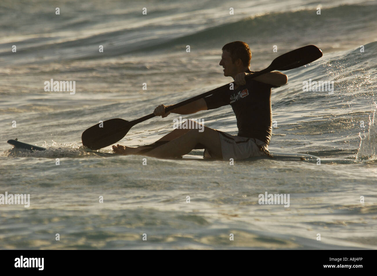 Kayak men in action in end of the day place Barbados Carribbean with ...