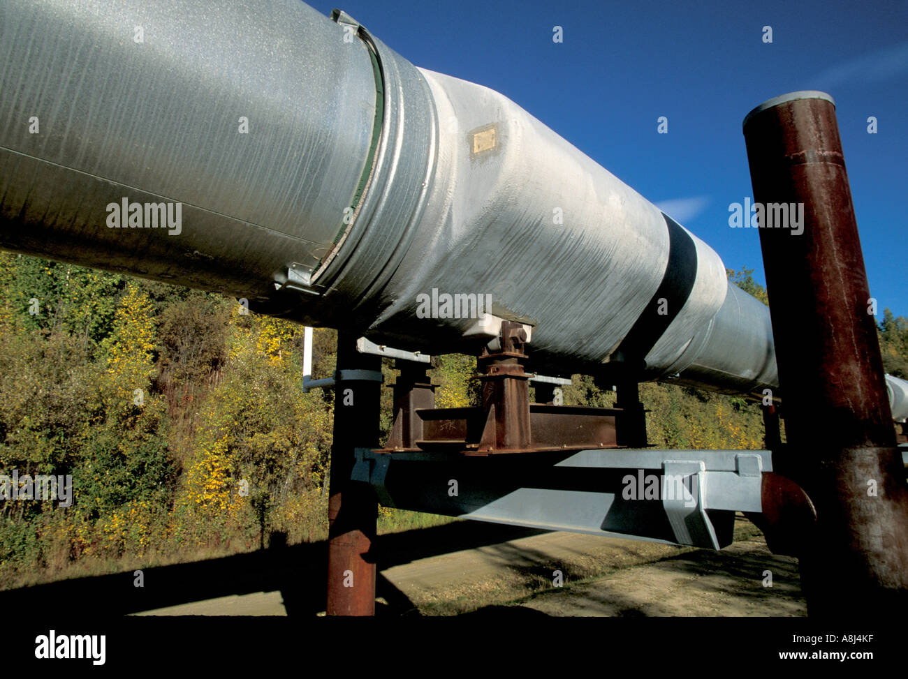 Alaska trans alaska oil pipeline Stock Photo - Alamy