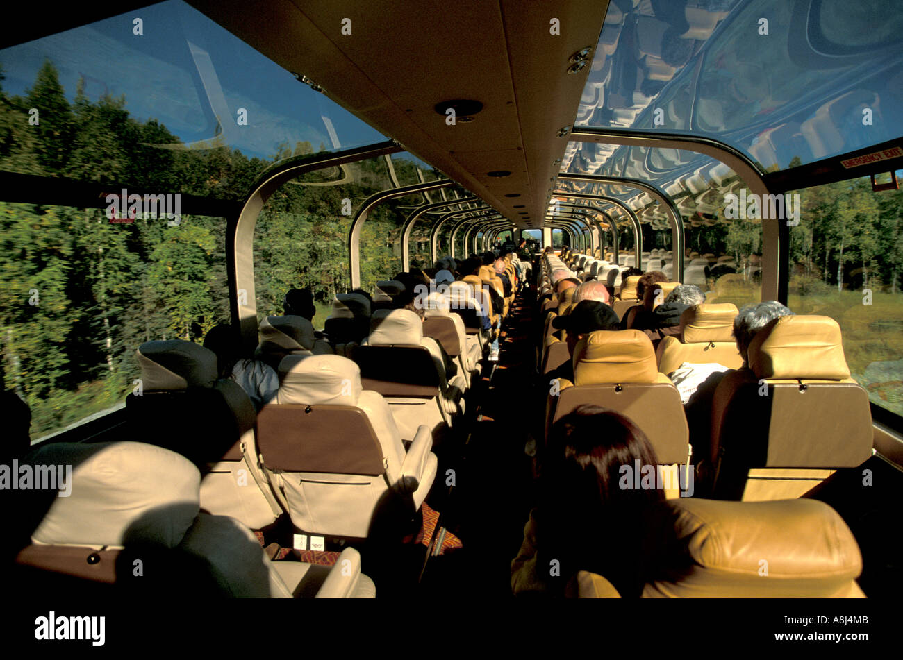 Alaska Railroad to Denali scenic dome car Stock Photo - Alamy