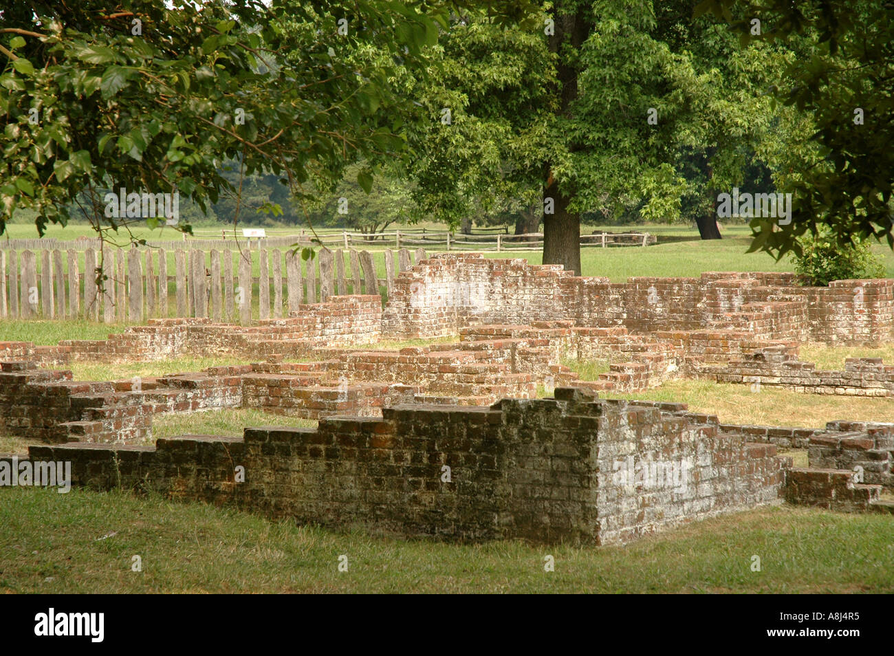 Historic Jamestowne jamestown archaeological dig Stock Photo - Alamy